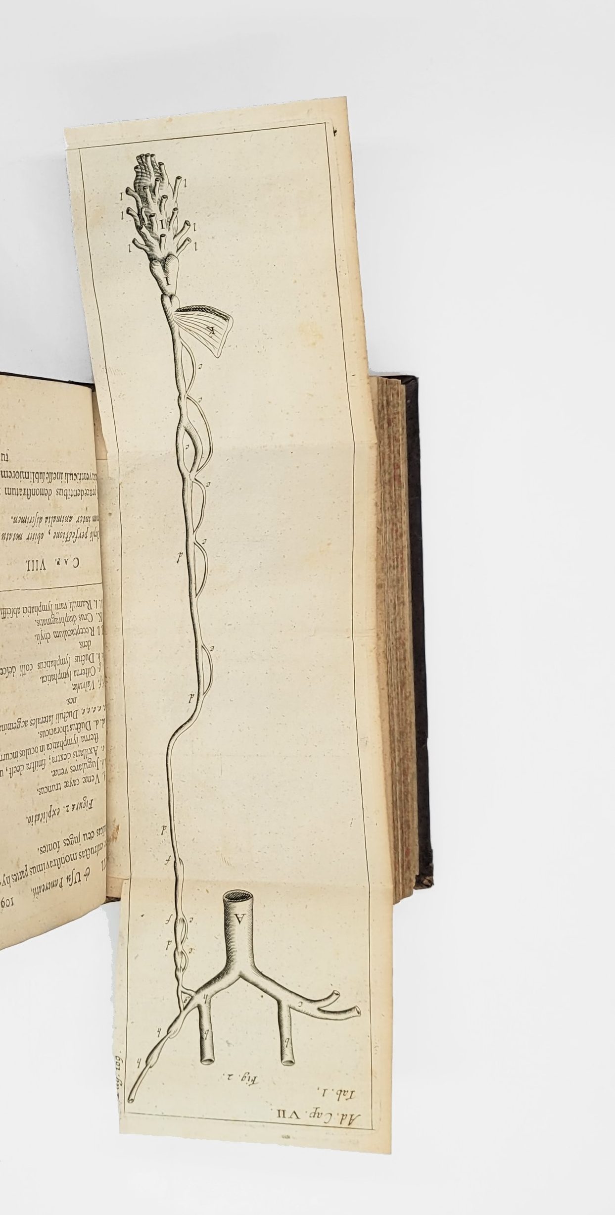 BRUNNER Johann Conrad Experimenta nova circa pancreas. Accedit diatribe ...